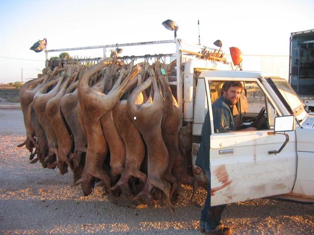 DCP: 30 degrees south, 126 degrees east (visit #1) - All Pictures