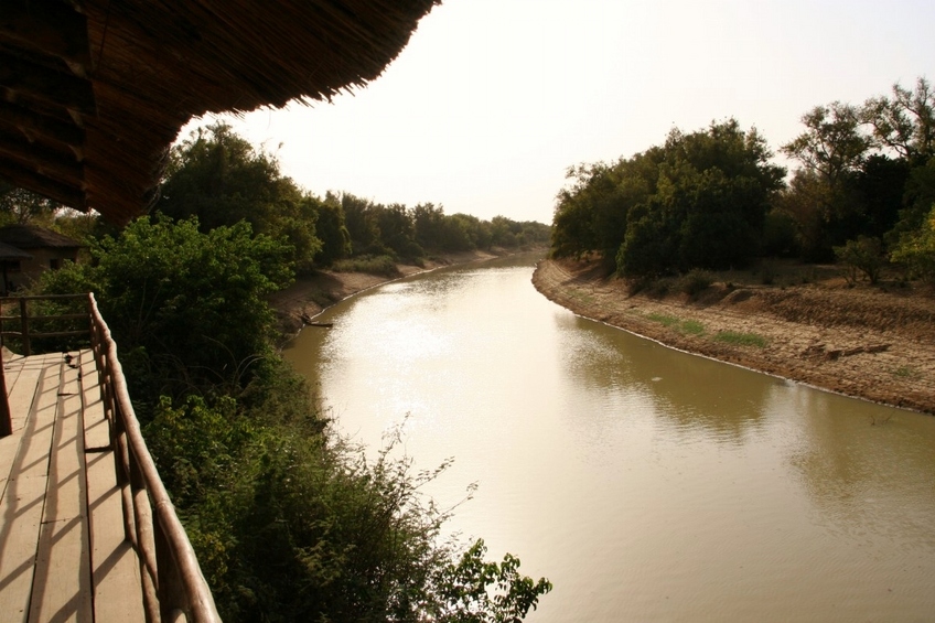 DCP: 12 degrees north, 3 degrees west (visit #2) - All Pictures
