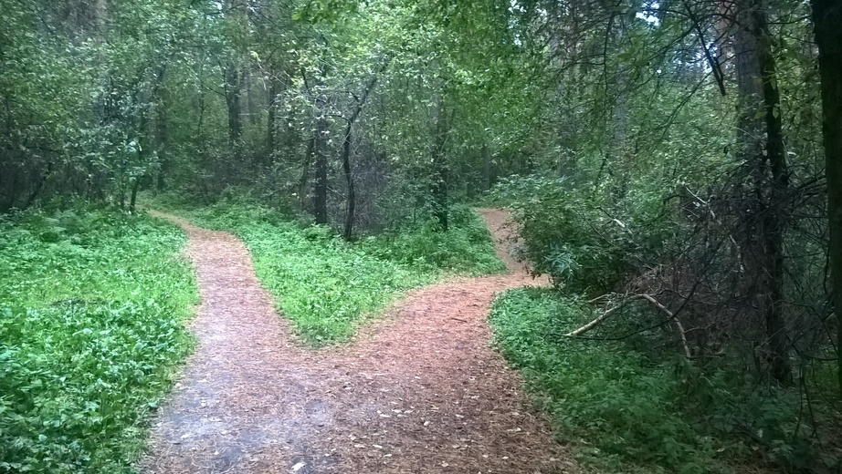 DCP: 55 degrees north, 83 degrees east (visit #13) - All Pictures