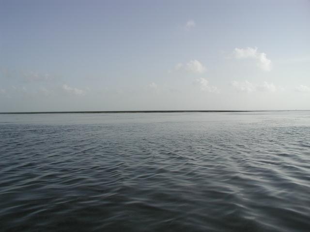 DCP: 25 degrees north, 81 degrees west (visit #1) - Picture #2