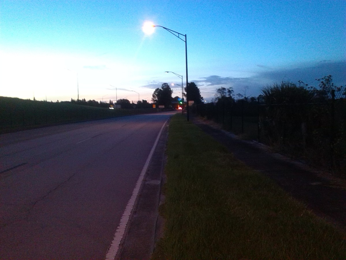 DCP: 28 degrees north, 82 degrees west (visit #19) - All Pictures