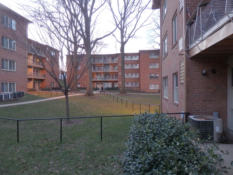 DCP: 39 degrees north, 77 degrees west (visit #21) - All Pictures