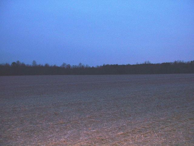 DCP: 38 degrees north, 77 degrees west (visit #2) - All Pictures